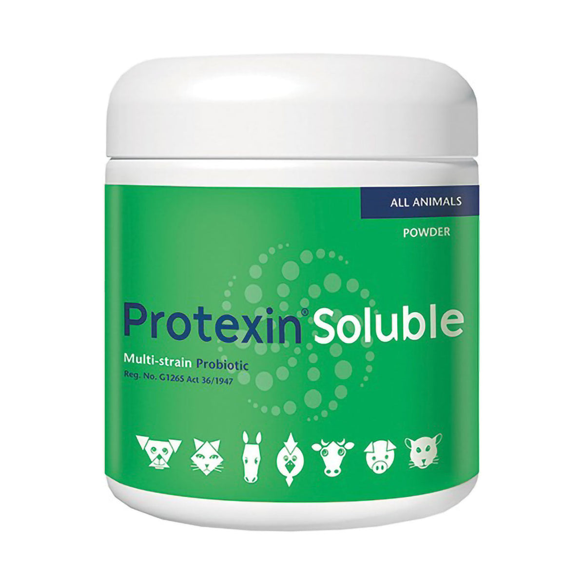 Kyron Protexin Soluble Powder 250g - Med365